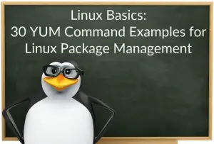 Linux Basics: 30 YUM Command Examples for Linux Package Management
