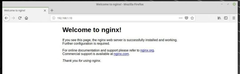 How To Install Linux, Nginx, MariaDB, PHP (LEMP Stack) on Linux Mint 19