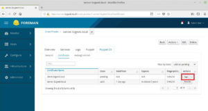 How To Add Puppet Nodes to Foreman - CentOS 7 / Ubuntu 18.04